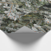 Evergreen tree | wrapping paper | Zazzle