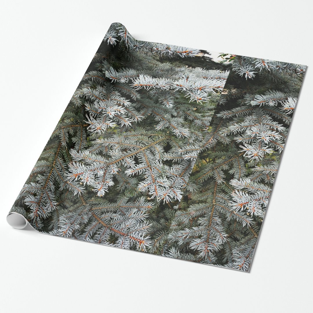 Evergreen tree | wrapping paper | Zazzle