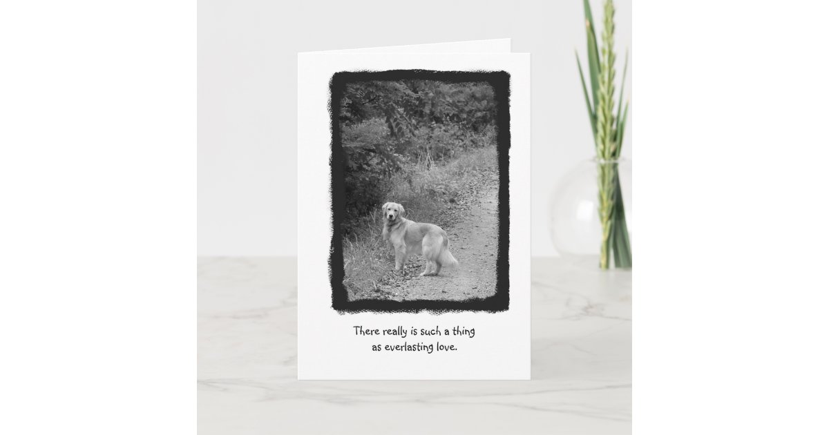 Everlasting Love Card | Zazzle