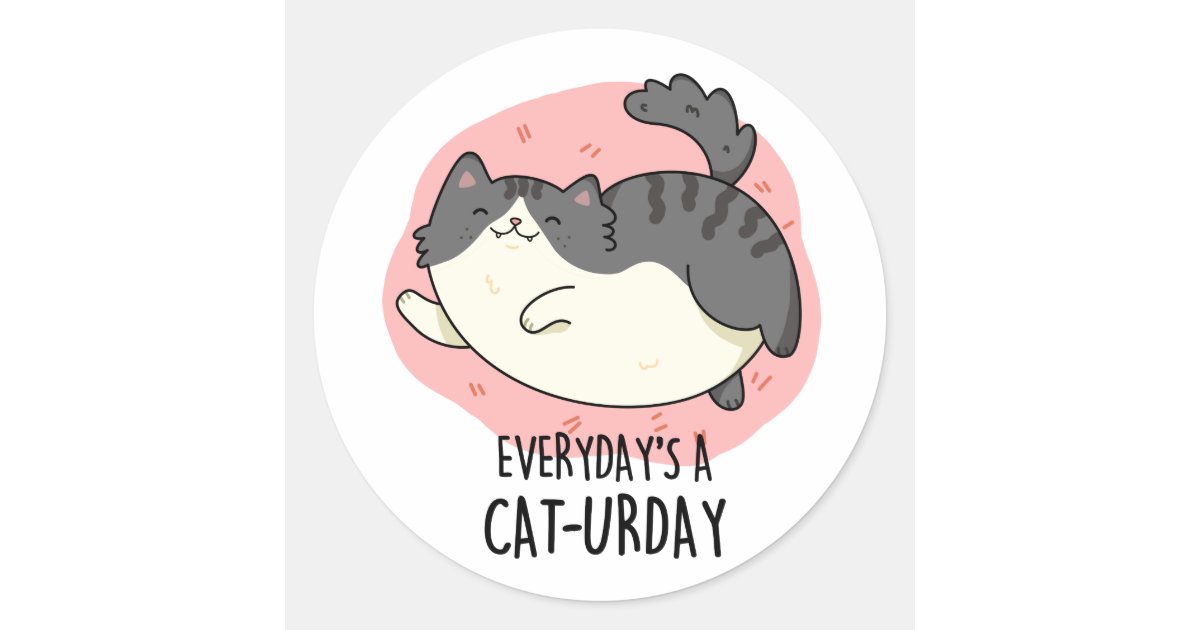 Everyday's A Cat-urday Funny Cat Pun Classic Round Sticker | Zazzle