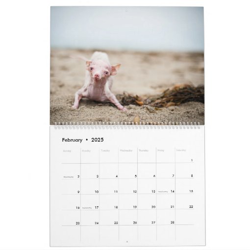Everything Rosie Calendar | Zazzle