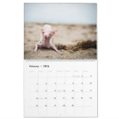Everything Rosie Calendar | Zazzle