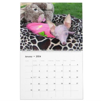 Everything Rosie Calendar | Zazzle