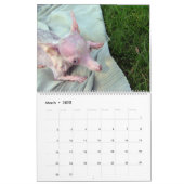 Everything Rosie Calendar | Zazzle