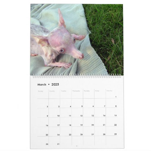 Everything Rosie Calendar | Zazzle