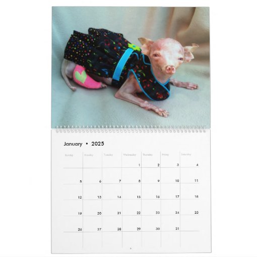 Everything Rosie Calendar | Zazzle