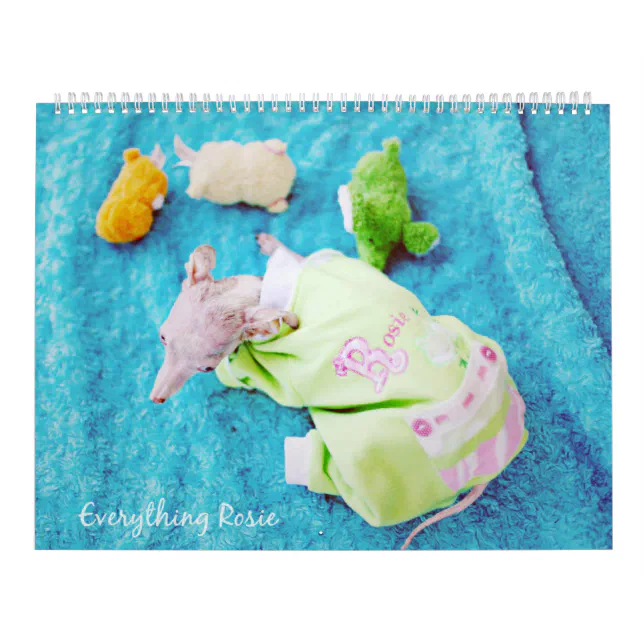 Everything Rosie Calendar | Zazzle