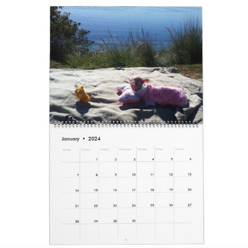 Everything Rosie Calendar | Zazzle