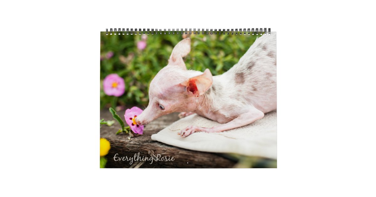 Everything Rosie Calendar | Zazzle