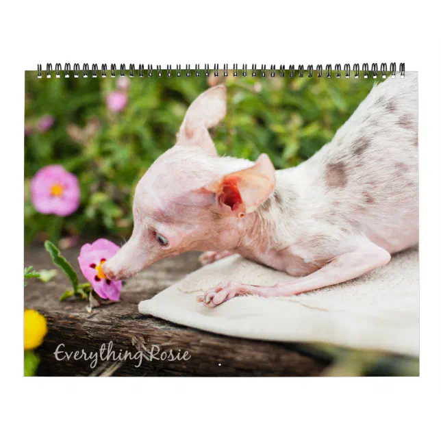 Everything Rosie Calendar | Zazzle