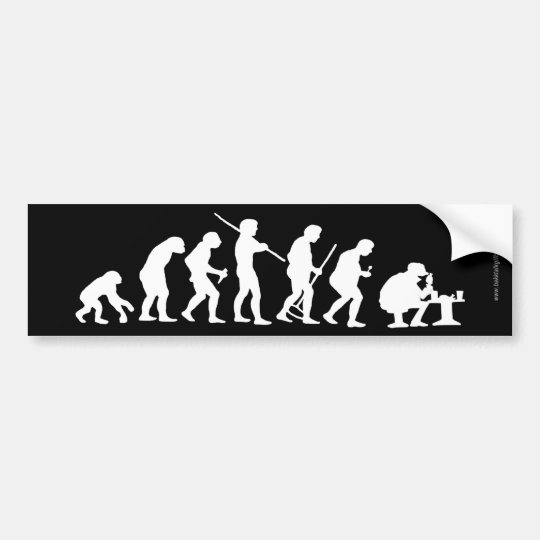 Evolution... Bumper Sticker | Zazzle.com