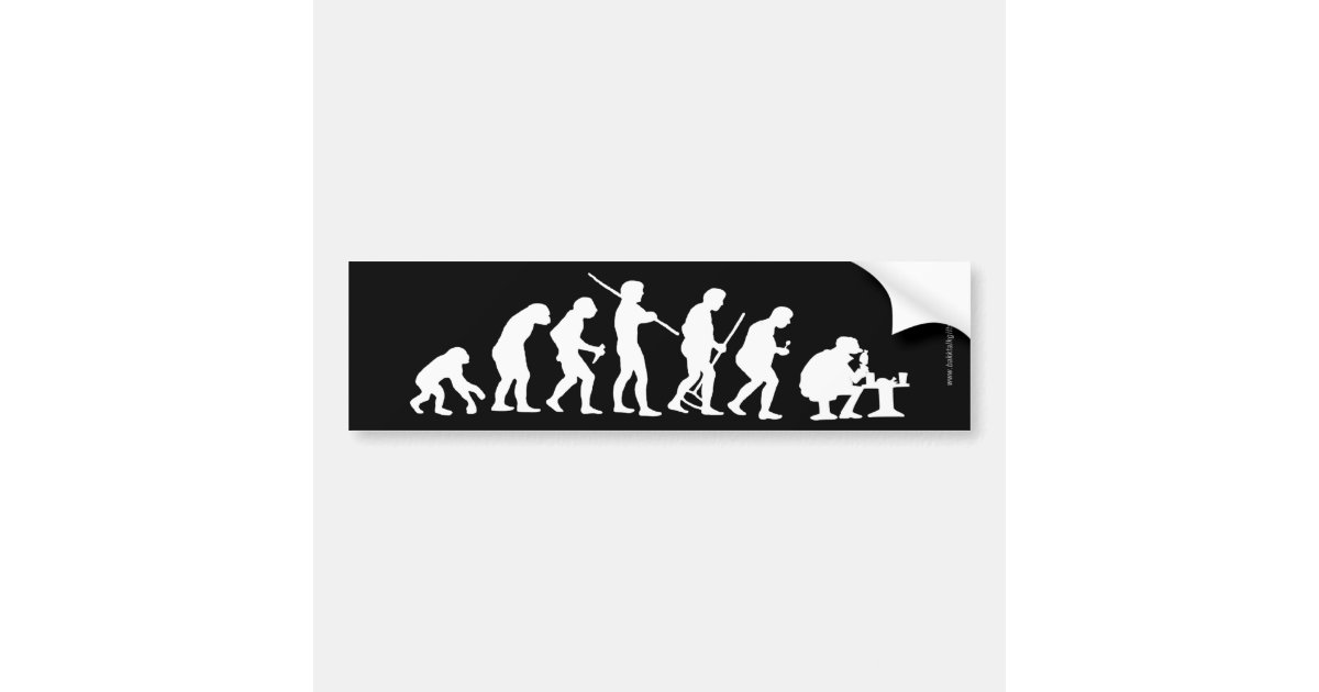 Evolution... Bumper Sticker | Zazzle