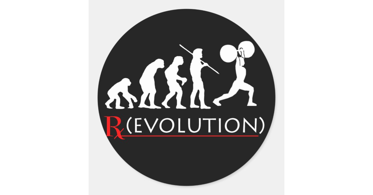 Evolution Chart Sticker | Zazzle