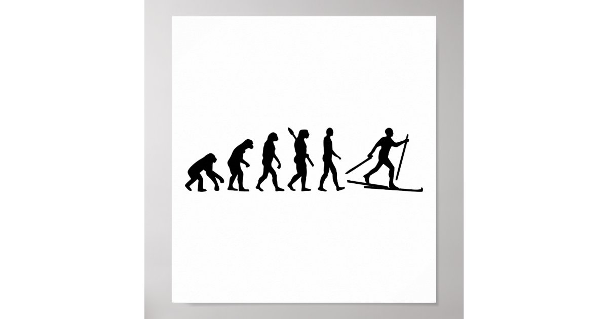 Evolution Cross country skiing Poster | Zazzle