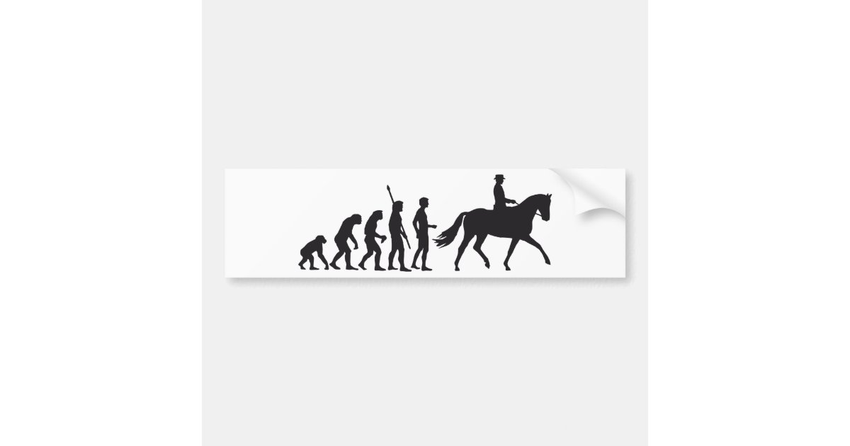 evolution horse riding bumper sticker | Zazzle