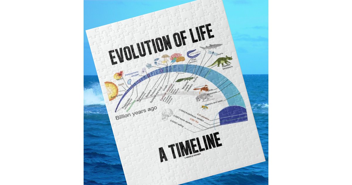 Evolution Of Life A Timeline (Biology) Jigsaw Puzzle | Zazzle