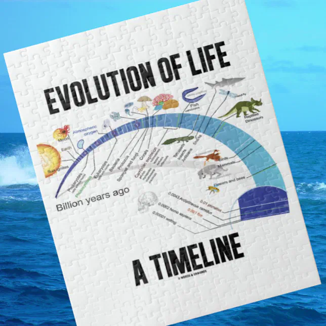 Evolution Of Life A Timeline (Biology) Jigsaw Puzzle | Zazzle
