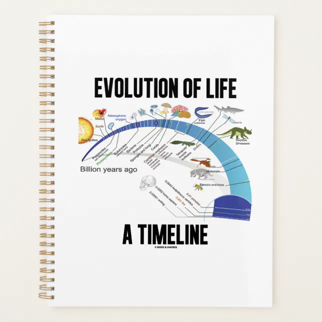 Evolution Of Life A Timeline Biology Planner | Zazzle