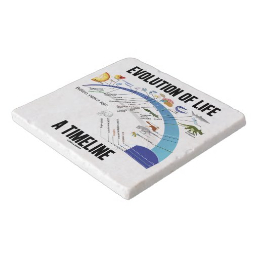 Evolution Of Life A Timeline Biology Trivet | Zazzle