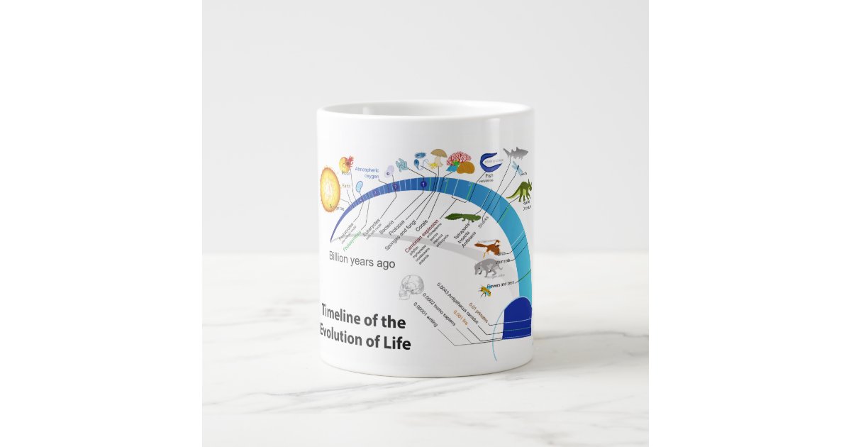 Evolution of Life on Earth Timeline Diagram Giant Coffee Mug | Zazzle