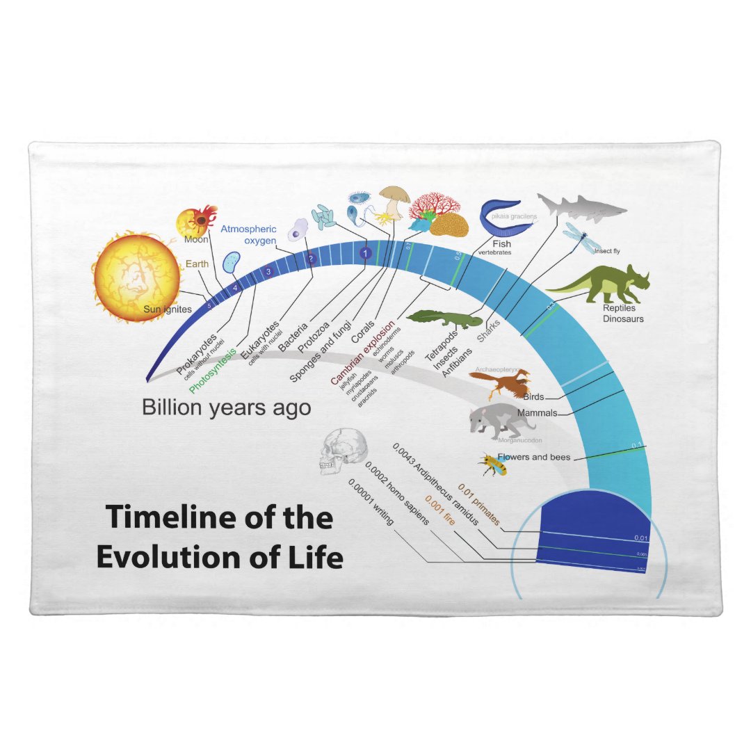 Evolution of Life on Earth Timeline Diagram Placemat | Zazzle