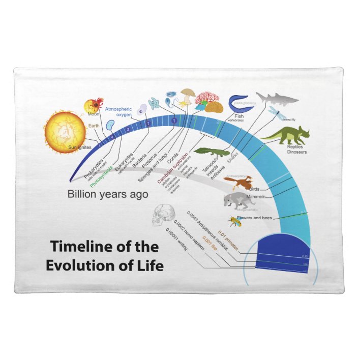 Evolution of Life on Earth Timeline Diagram Placemat | Zazzle