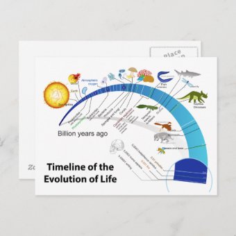 Evolution of Life on Earth Timeline Diagram Postcard | Zazzle