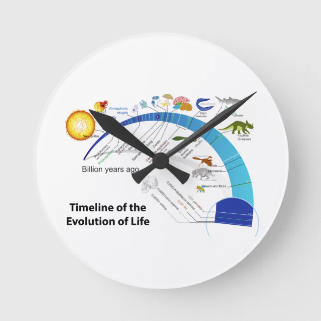Evolution of Life on Earth Timeline Diagram Round Clock | Zazzle