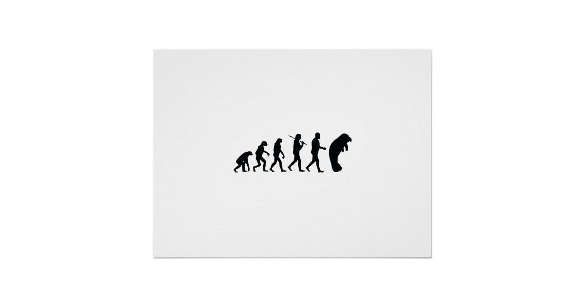 Evolution of Manatee Poster | Zazzle