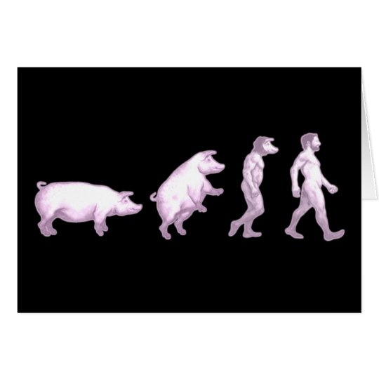 Evolution of pigs card | Zazzle.com