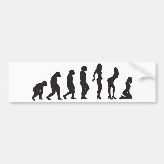 Evolution of Women Funny Bumper Sticker | Zazzle.com