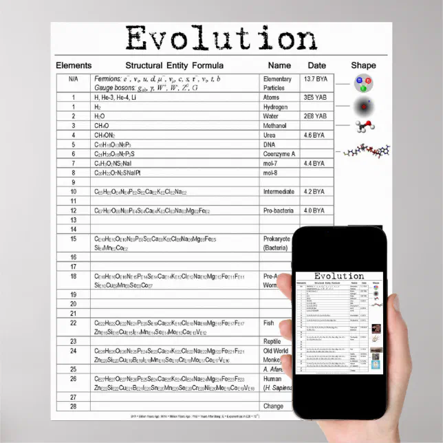 Evolution Poster | Zazzle