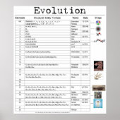 Evolution Poster | Zazzle