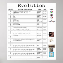 Evolution Poster | Zazzle