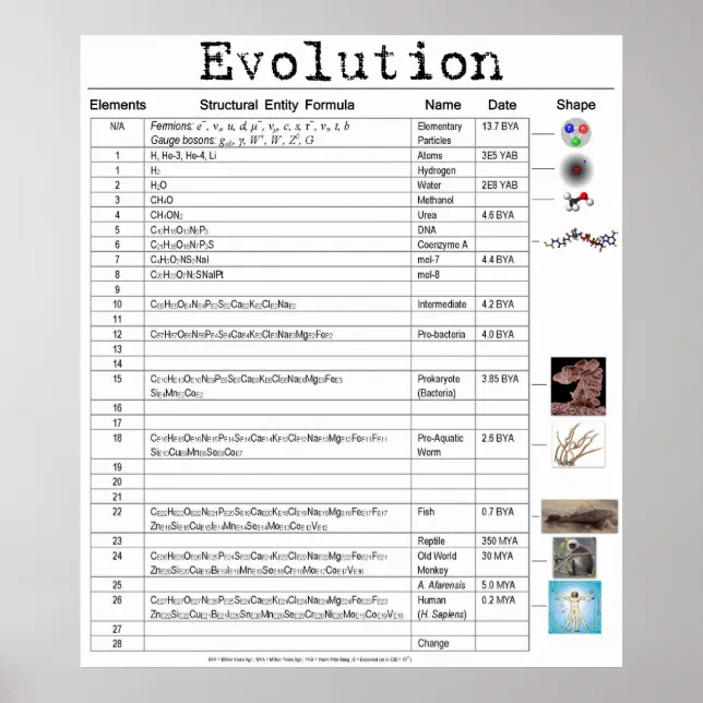 Evolution Poster | Zazzle
