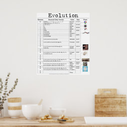 Evolution Poster | Zazzle