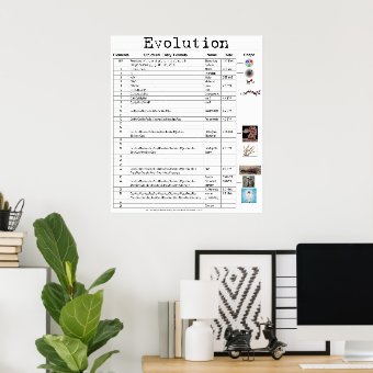 Evolution Poster | Zazzle