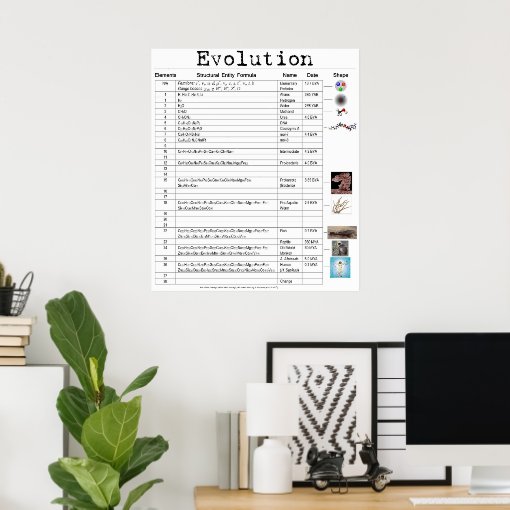 Evolution Poster | Zazzle