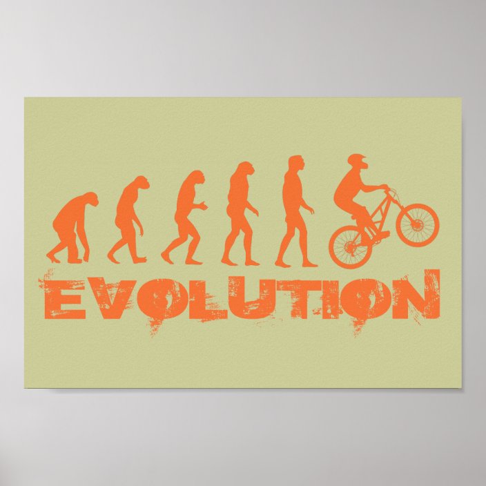 Evolution Poster | Zazzle.com