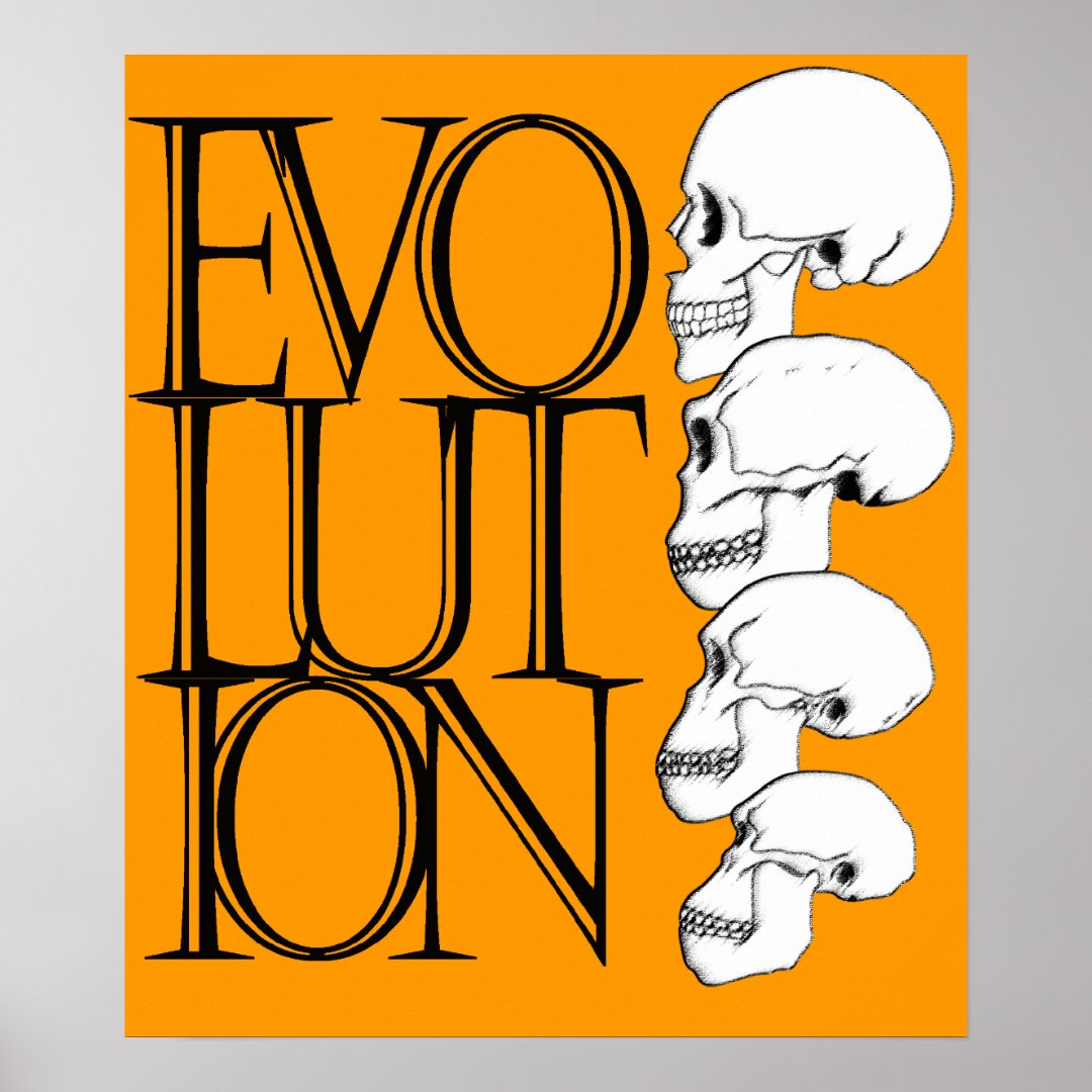 Evolution Poster | Zazzle