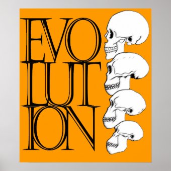 Evolution Poster | Zazzle