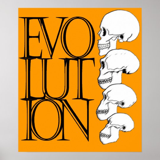 Evolution Poster | Zazzle.com