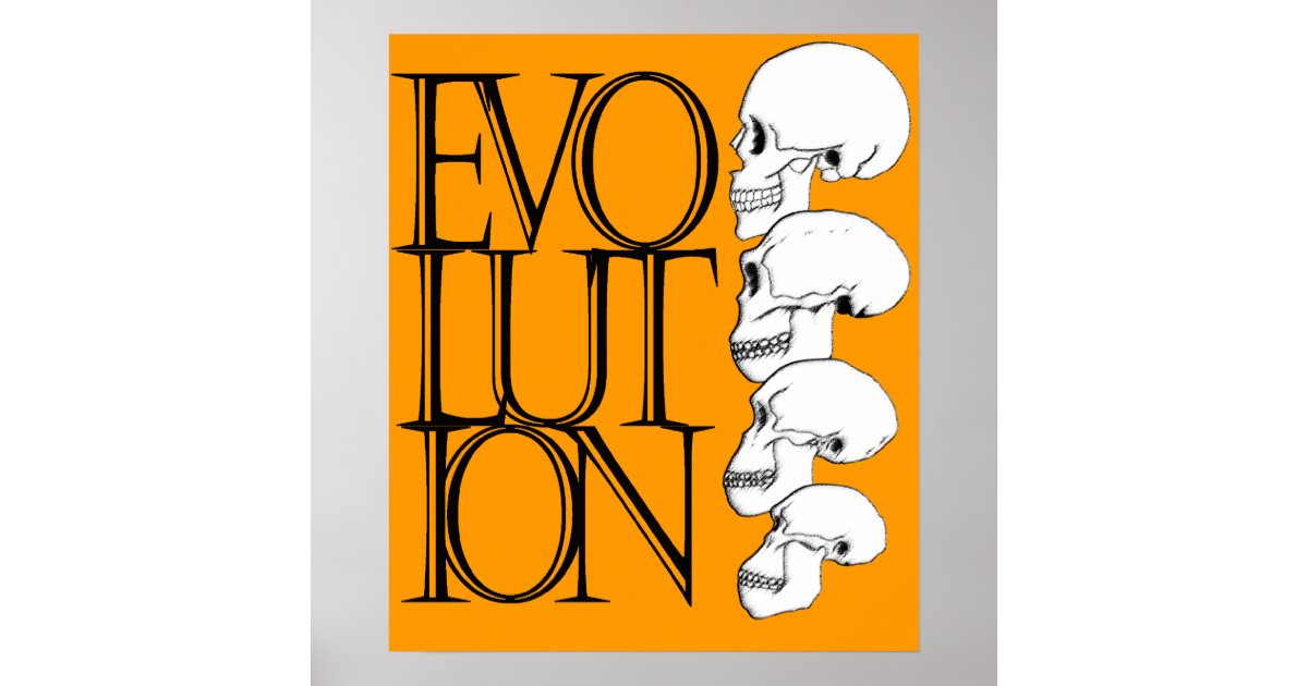 Evolution Poster | Zazzle