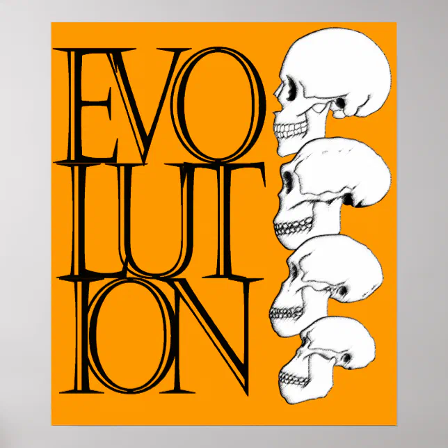 Evolution Poster | Zazzle