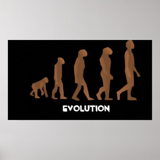 Human Evolution Posters | Zazzle