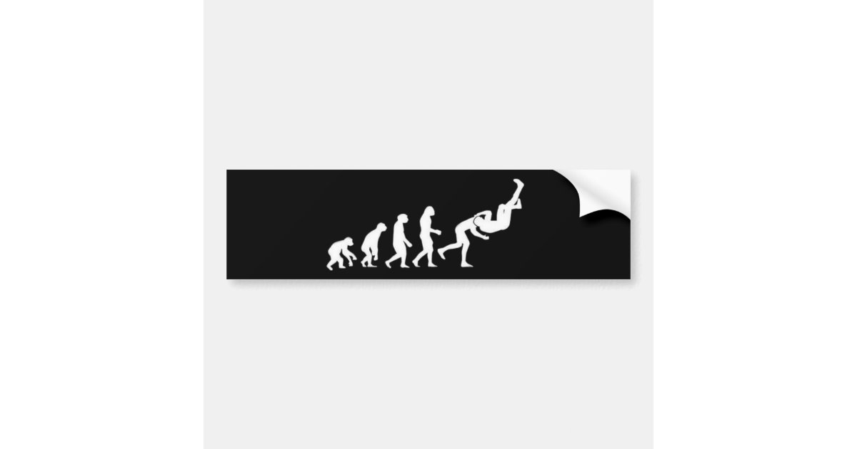 Evolution RKO Bumper Sticker | Zazzle