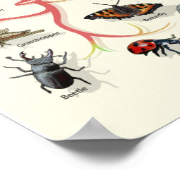 Evolution - Tree of Life -Poster Poster | Zazzle