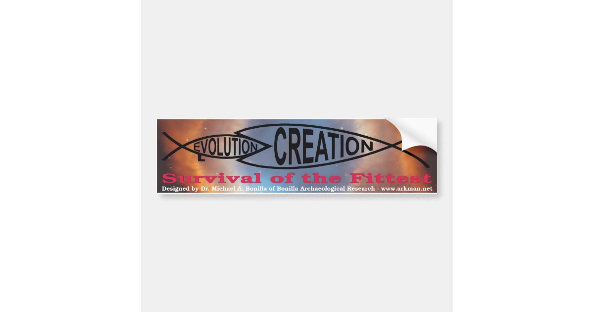 Evolution vs. Creation Bumper Sticker | Zazzle