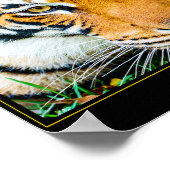 Excel Poster | Zazzle