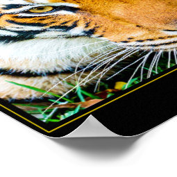 Excel Poster | Zazzle